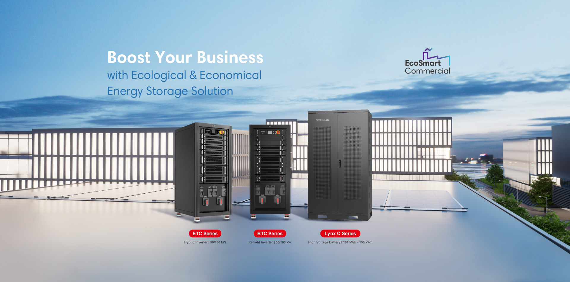 GoodWe: Smart Energy Innovator